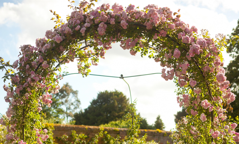 Monet’s Arch: The Most Spectacular Garden Arch In The World! – Home ...